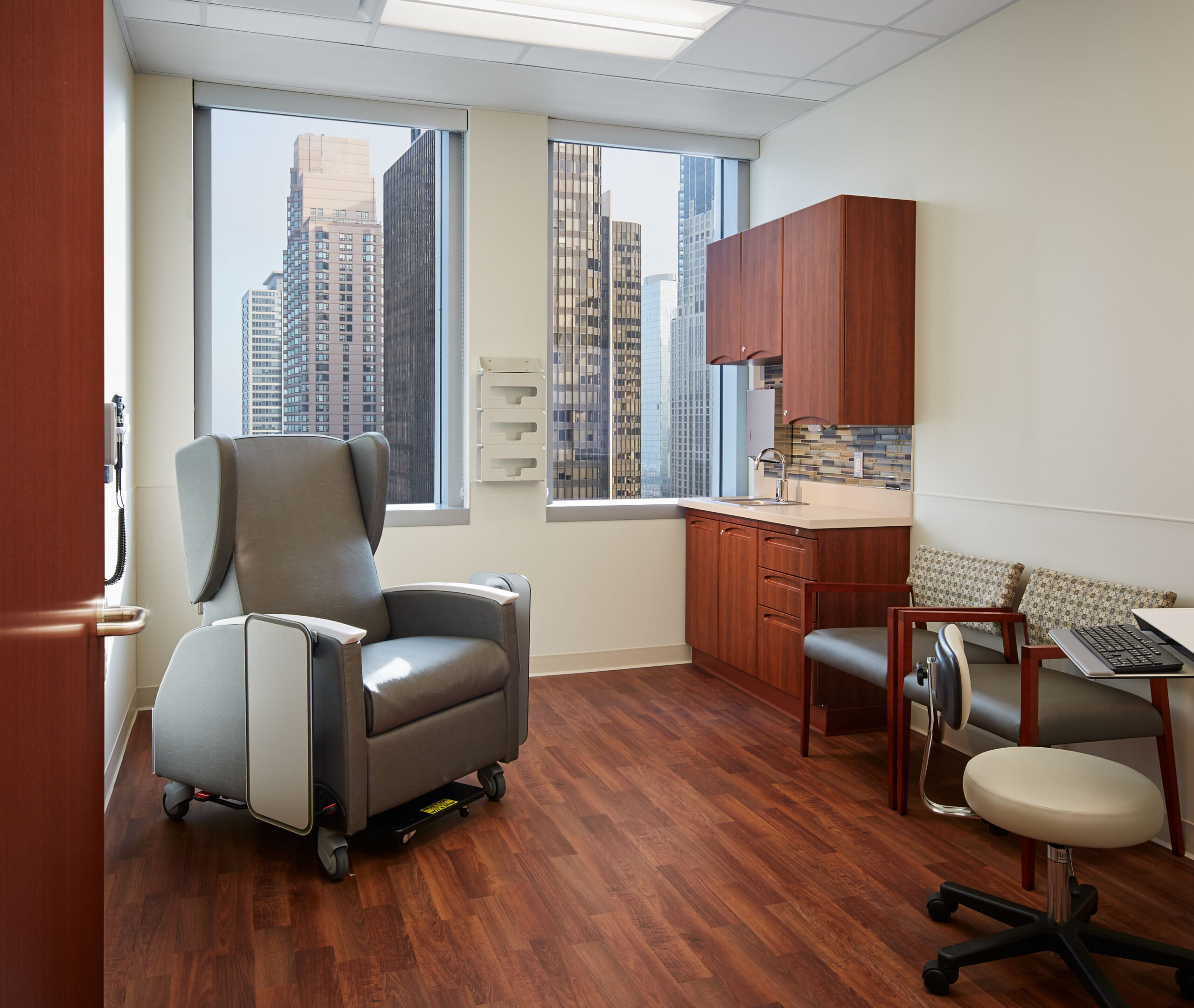 NM Lavin Neurology Lab Project | Skender